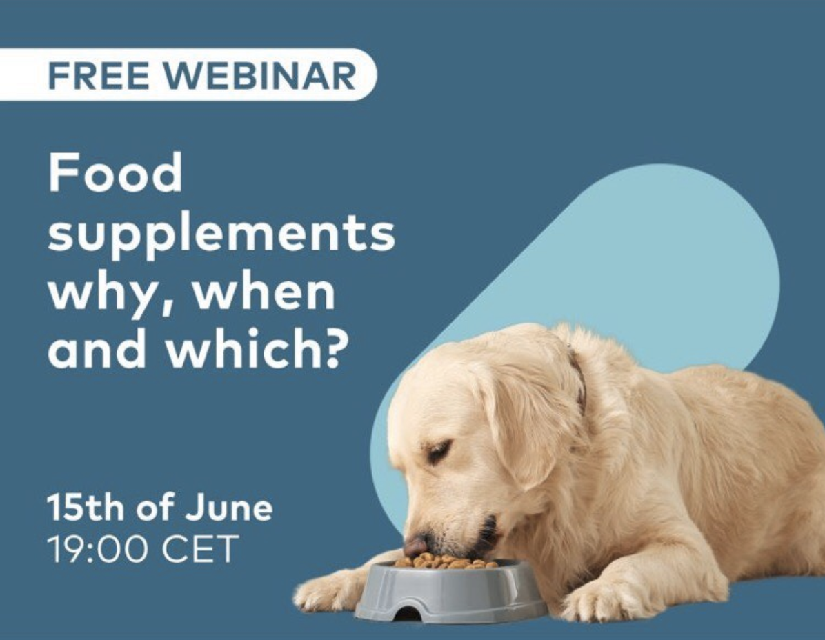 Micropuce EIDAP – Central Sales